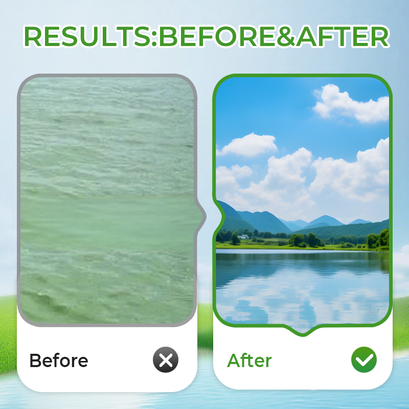 Mixed Feed Additive Powder – mexicoify